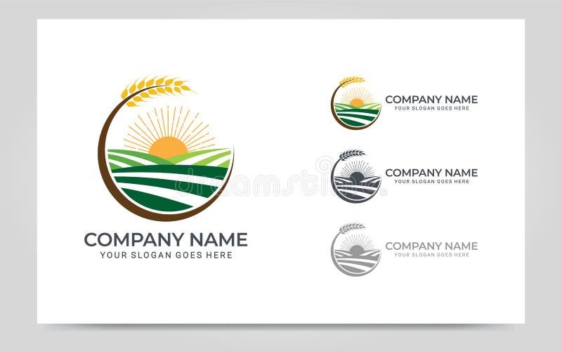 Rice Illustration Graphic Vector . Stock Vector - Illustration of ...