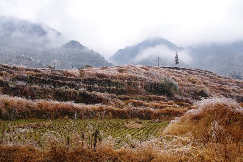Rice field after snow stock image. Image of clouds, meadows - 27345623