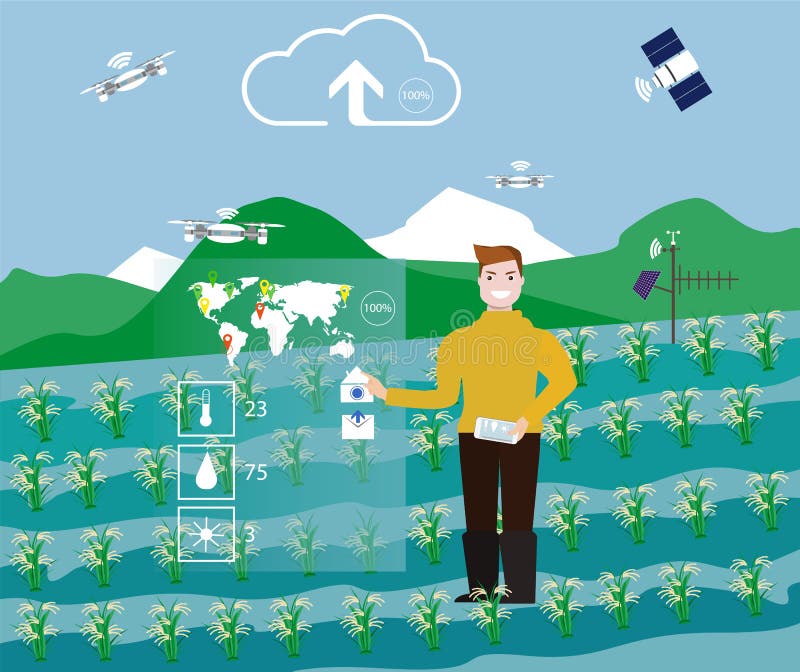 Rice Field. Technology in Agriculture Stock Vector - Illustration of ...