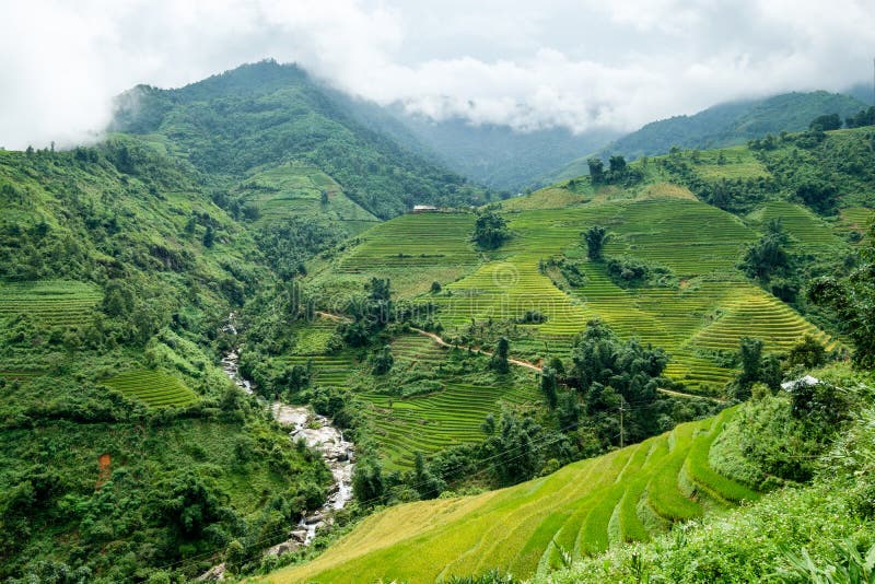 Rice Field Terrace with River in Valley Stock Image - Image of ...