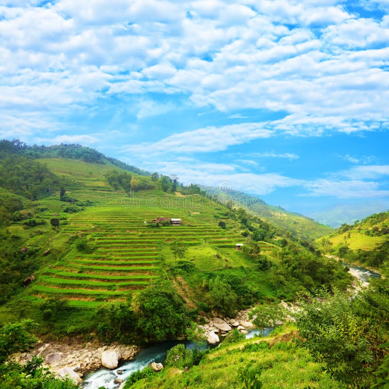 16+ Rice terraces river Free Stock Photos - StockFreeImages