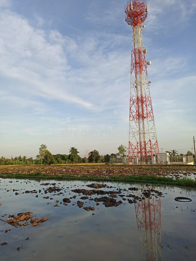 Rice field and tower stock photo. Image of field, tower - 181448182