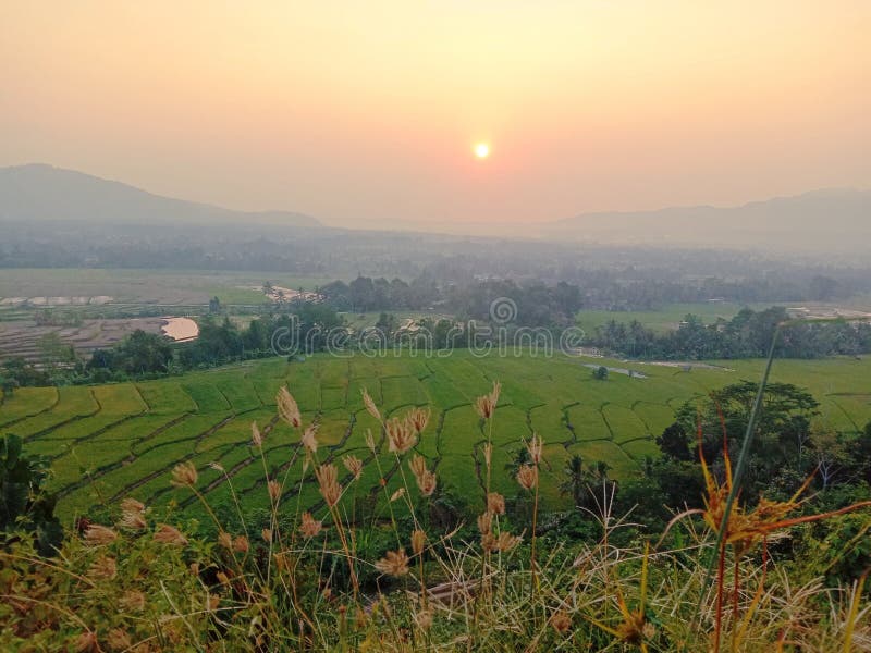 Rice Fielda View Sunset and Mountain Stock Photo - Image of green, rice ...