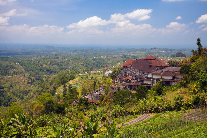 Rice fields of Bali stock photo. Image of ground, bali - 56712034