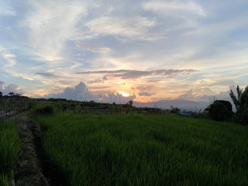 Beautiful Rice Fields and Clouds in the Countryside Stock Image - Image ...