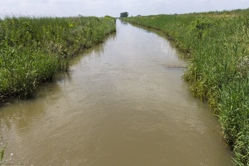 Rice Fields, Checks, Water, Canals and Hydraulic Structures with Water ...