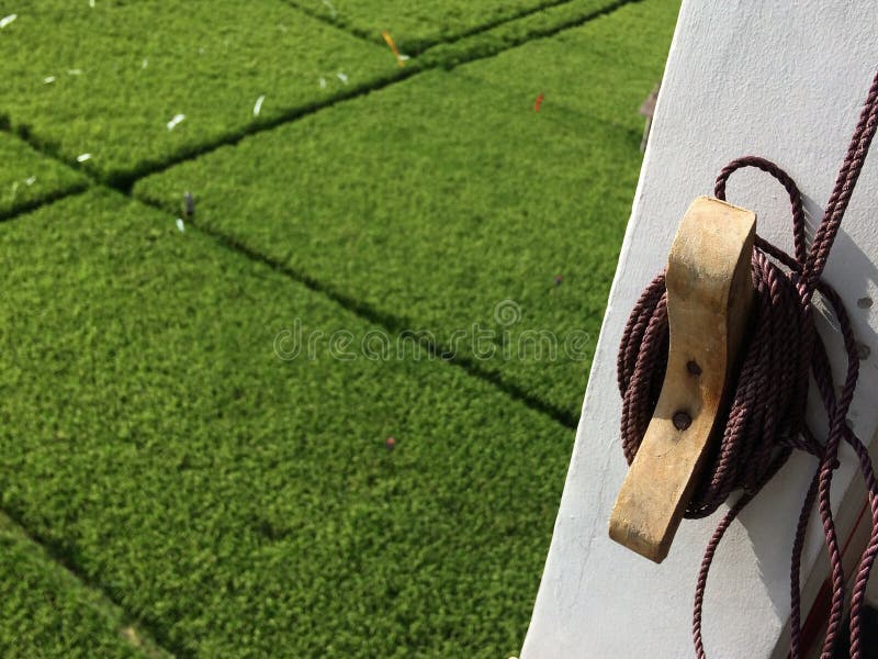 Rice Fields in Distance with Window Cord Stock Image - Image of space ...