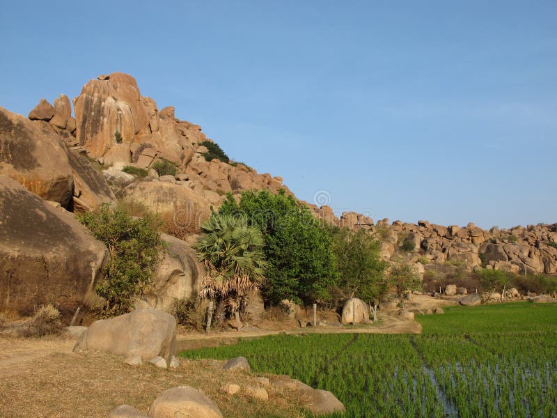 Rice Fields and Granite Mountain Stock Photo - Image of rocks, stone ...
