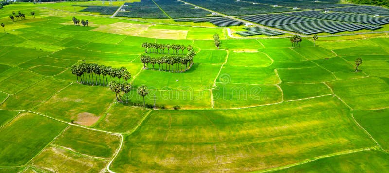 Rice Fields Interspersed with Solar Power Fields in the Morning, Stock ...