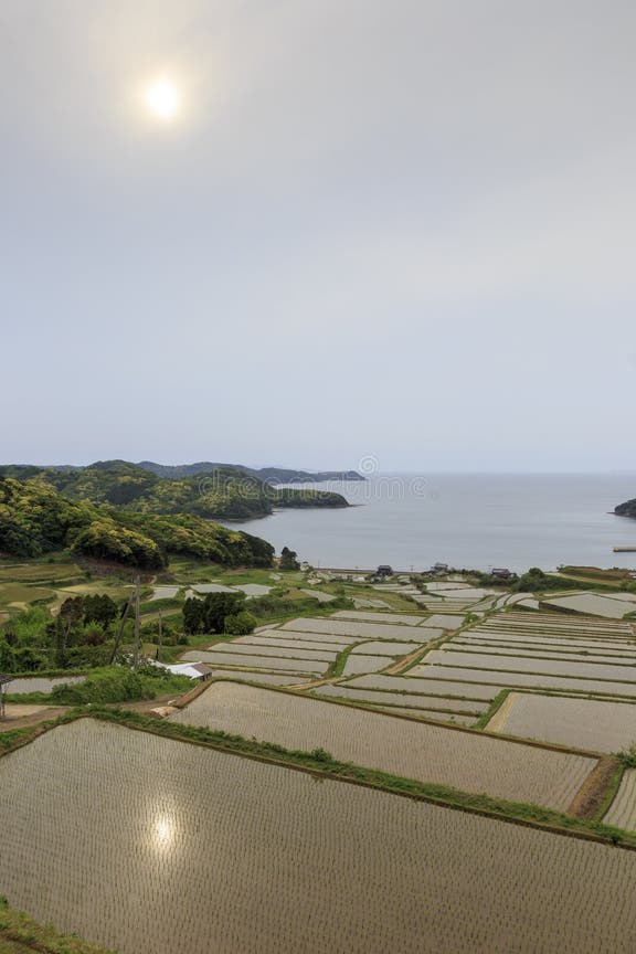 Rice fields in Kyushu stock image. Image of terraced - 118165685