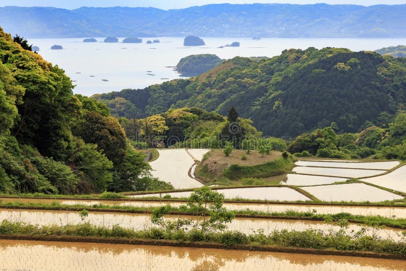 Rice fields in Kyushu stock photo. Image of tourism - 118165756
