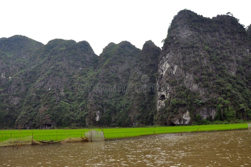 Rice Fields and Limestone Cliffs, Tam Coc, Vietnam Stock Photo - Image ...
