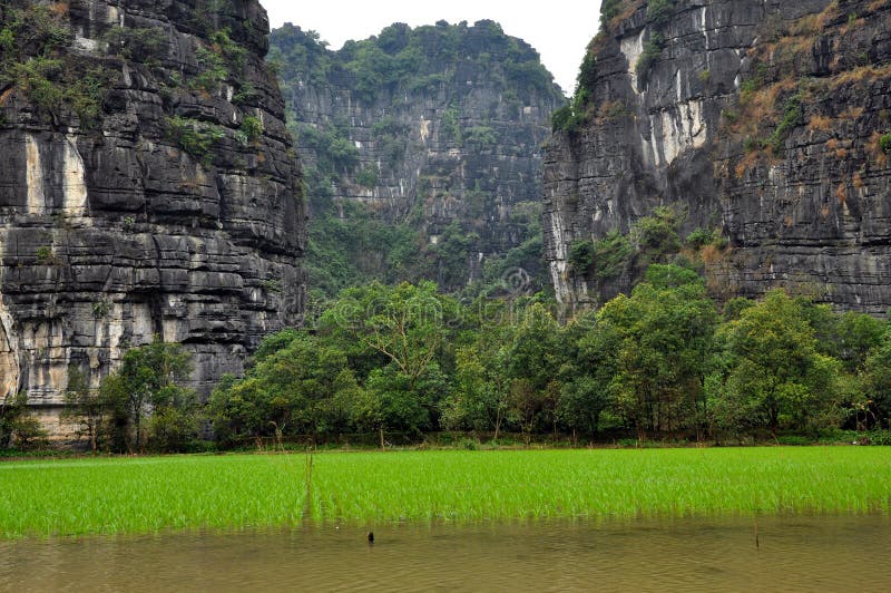 Rice Fields and Limestone Cliffs, Tam Coc, Vietnam Stock Photo - Image ...