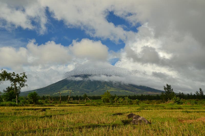 Mayon Volcano Rice Fields Stock Photos - Free & Royalty-Free Stock ...
