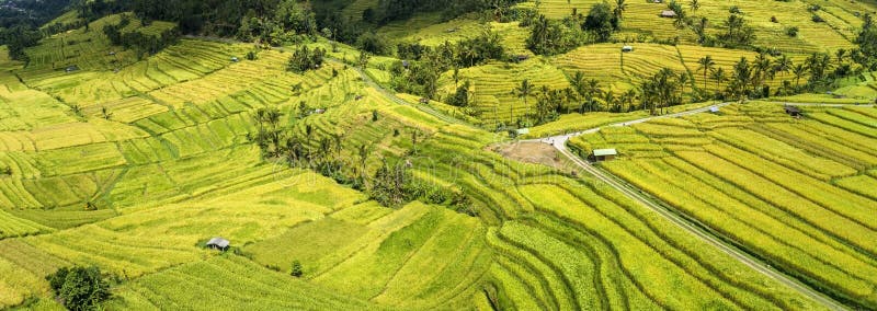 Rice Fields on the Mountain Aerial Panorama View Stock Photo - Image of ...