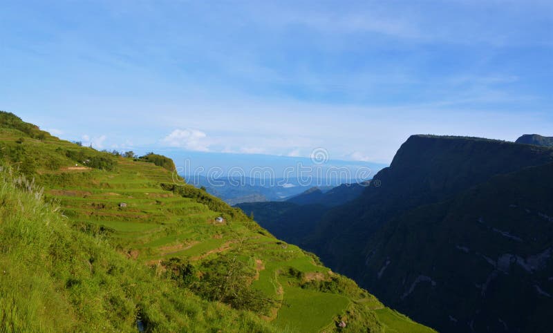 Rice Fields in the Mountain Stock Image - Image of mountain, fields ...