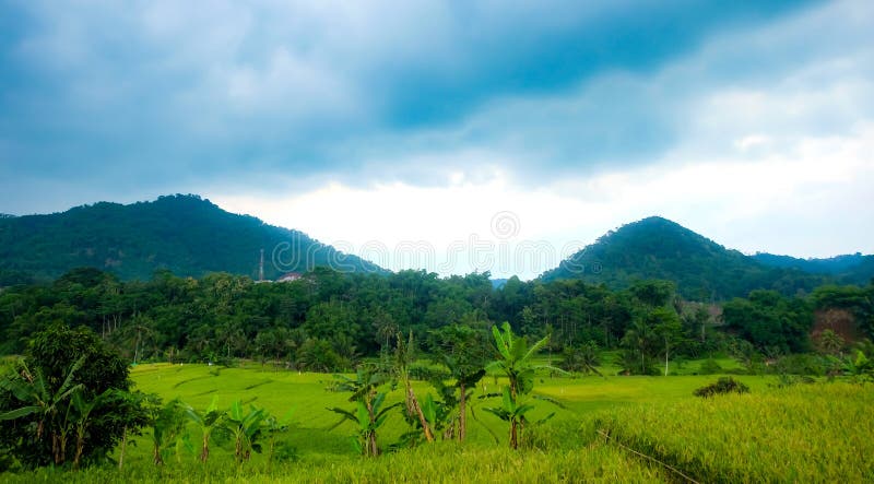 Rice Fields and the Mountain. Sumedang West Java Indonesia Stock Photo ...