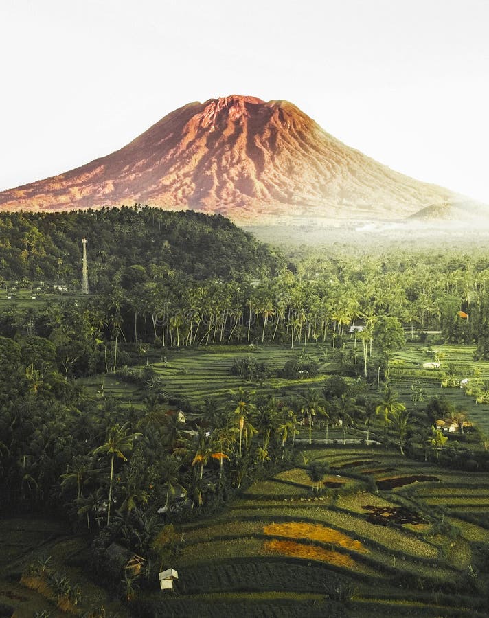 Rice Fields and Mountains are the Best Combo Stock Photo - Image of ...