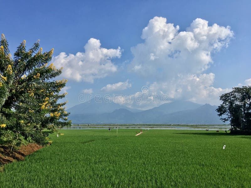 Clear ungaran mountain stock image. Image of beautiful - 93657691