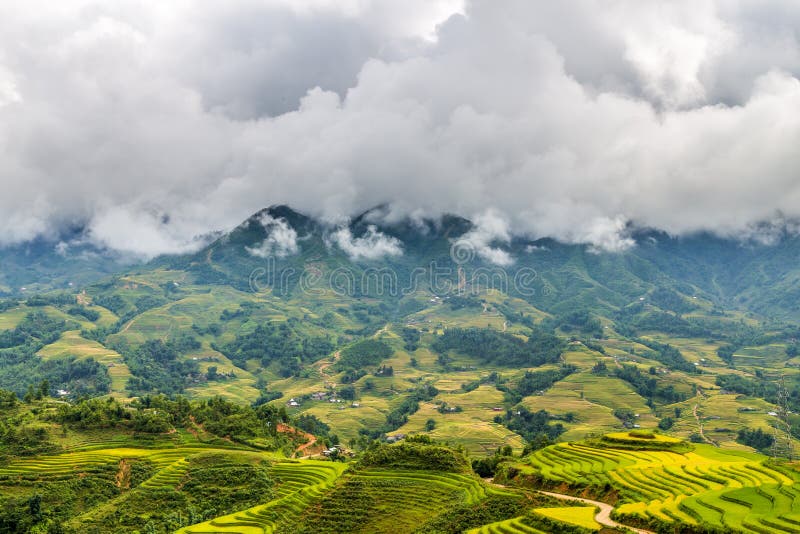 Rice Fields and Mountains in the Clouds Stock Photo - Image of colour ...