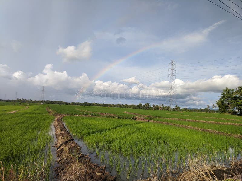 3,508 Rice Tower Stock Photos - Free & Royalty-Free Stock Photos from ...