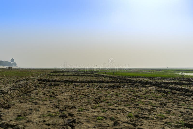 Rice Fields Ready for Rice Planting Stock Photo - Image of paddy ...