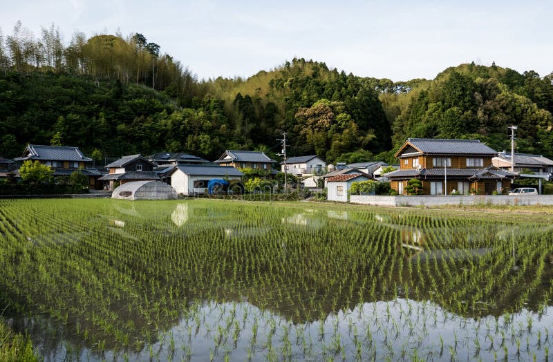 6,224 Shikoku Stock Photos - Free & Royalty-Free Stock Photos from ...