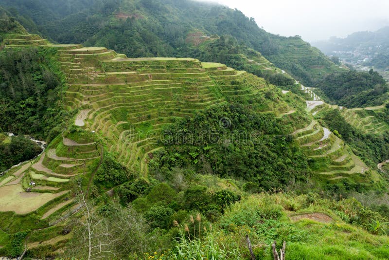 Rice Fields Terraces in Philippines Stock Image - Image of mountains ...