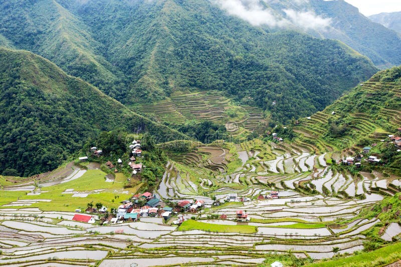 Rice Fields Terraces in Philippines Stock Image - Image of heritage ...