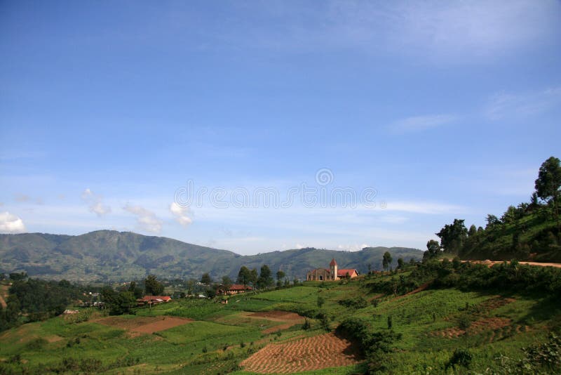 Rice Fields in Uganda, Africa Stock Photo - Image of scenery, hillside ...