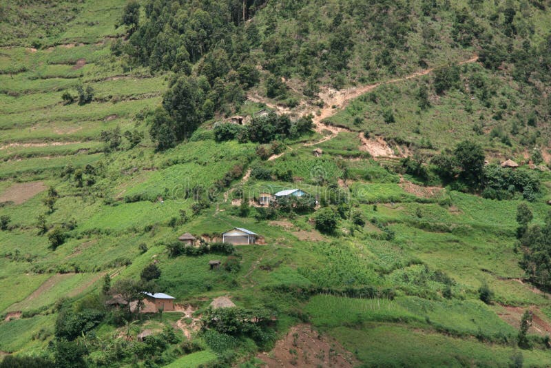 Rice Fields in Uganda, Africa Stock Image - Image of kisoro, house ...
