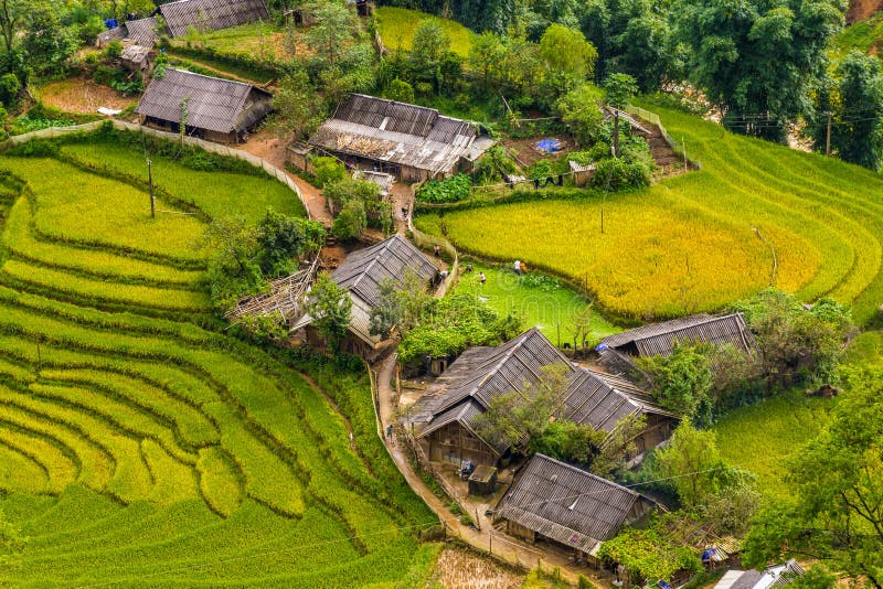 Vietnam Rice Paddy Field Homes Stock Photos - Free & Royalty-Free Stock ...
