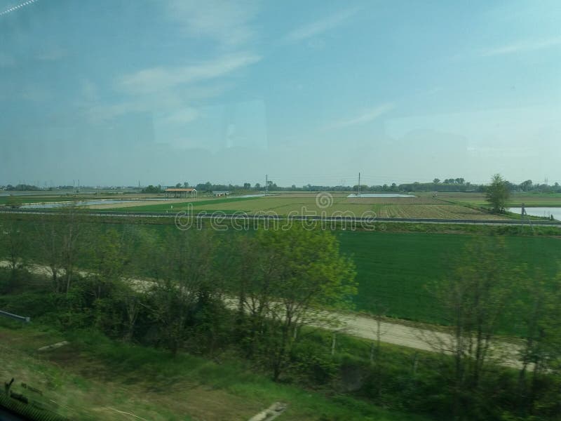 Rice fields with water stock photo. Image of landscape - 183664764