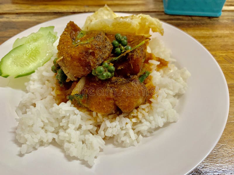 Rice with fish curry stock photo. Image of thai, curry - 140937960