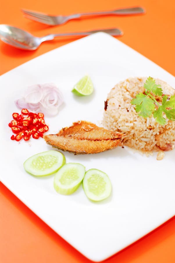 Rice with fish fried stock photo. Image of food, barbecue - 103859084