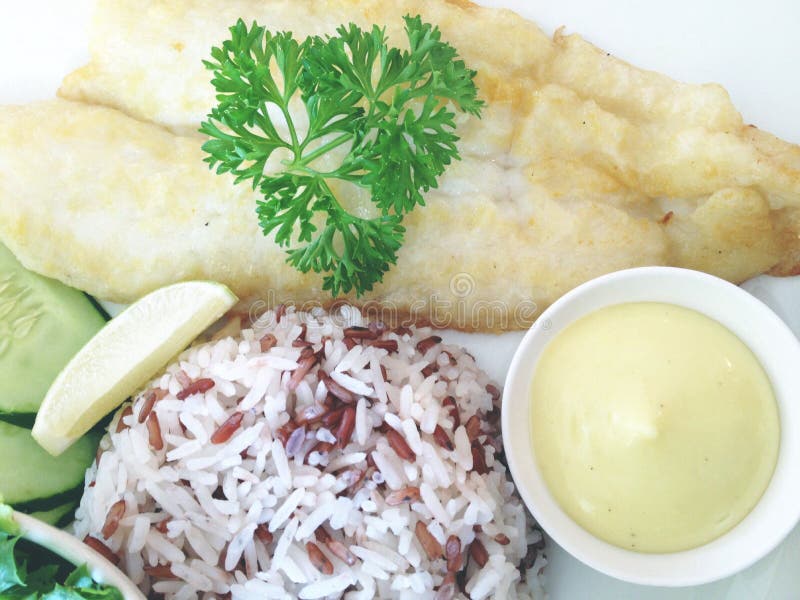 Rice with fish stock photo. Image of menu, fish, healthy - 42768488