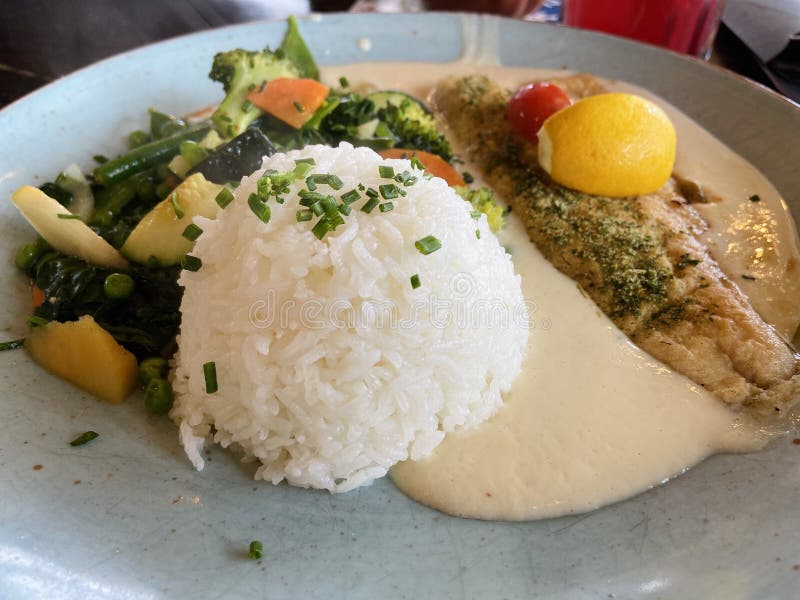 Rice and fish stock photo. Image of lunch, rice, vegetables - 218803346