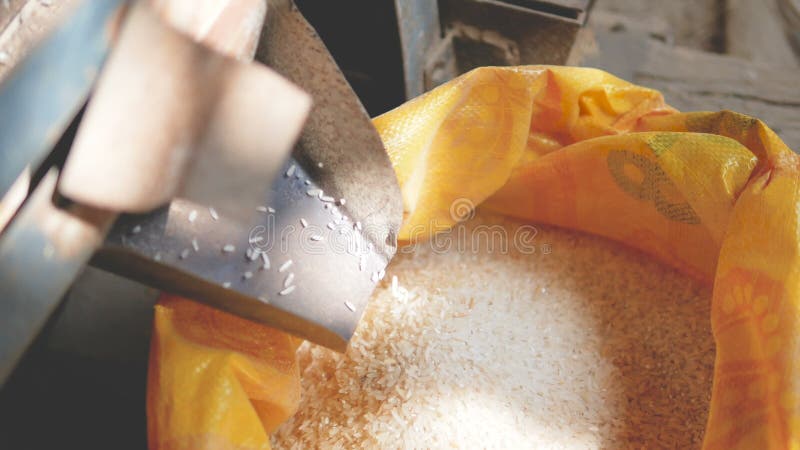 Rice Flowing in the Yellow Sack Stock Video - Video of falling ...
