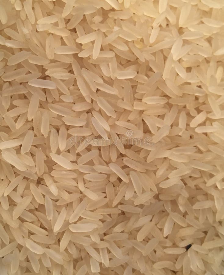 Rice. Food background stock photo. Image of nature, grain - 216464764