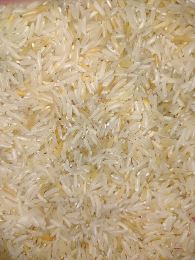 Rice food fresh stock photo. Image of asian, seed, healthy - 263556914