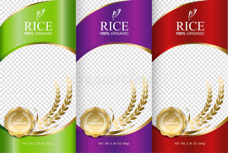 Rice Food or Thai Food, Banner and Poster Template Vector Design Stock ...