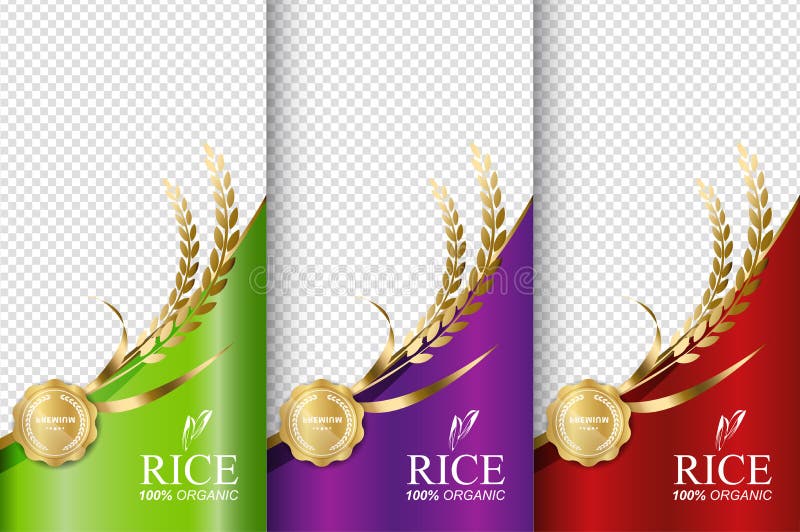 Rice Food or Thai Food, Banner and Poster Template Vector Design Stock ...