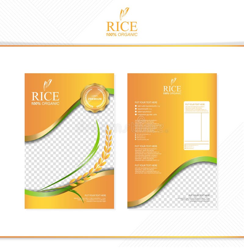 Rice Food or Thai Food, Banner and Poster Template Vector Design Stock ...
