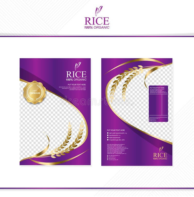 Rice Food or Thai Food, Banner and Poster Template Vector Design Stock ...