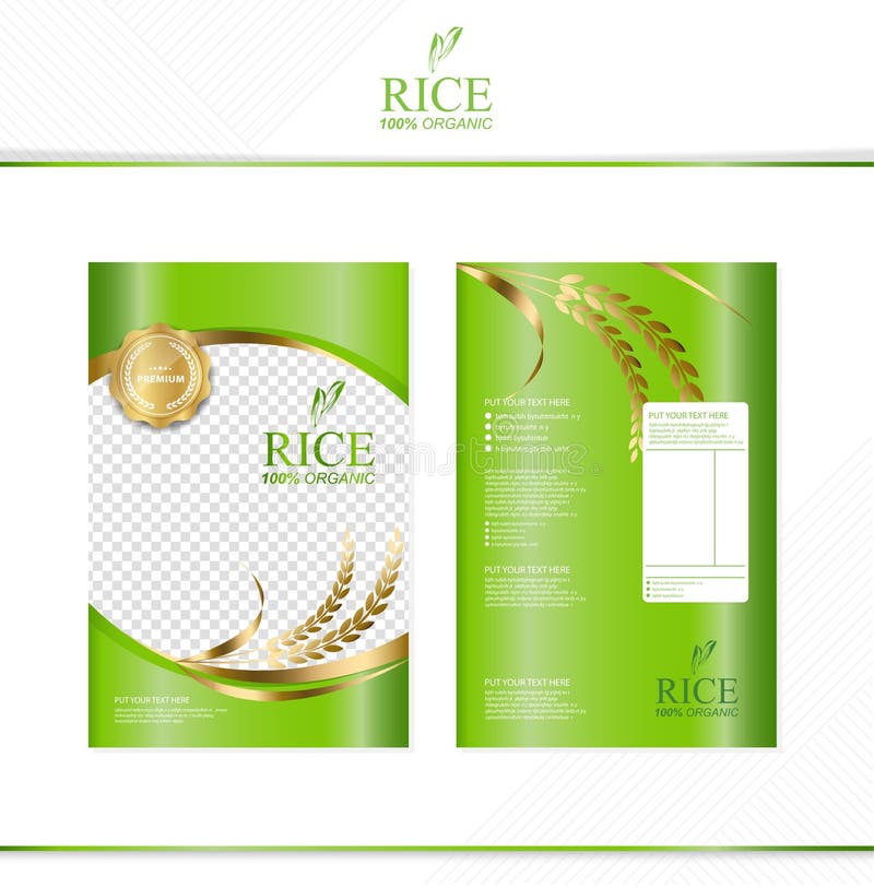 Rice Food or Thai Food, Banner and Poster Template Vector Design Stock ...