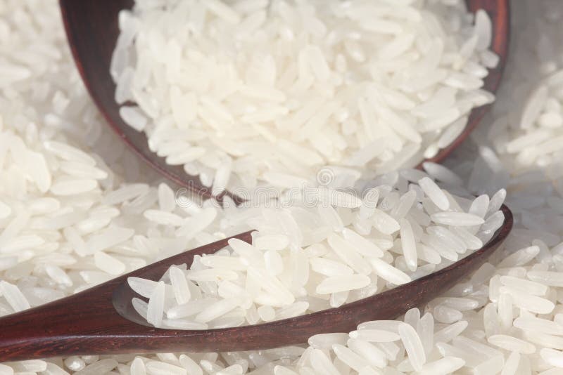 Rice stock photo. Image of farmer, isolated, texture - 56234544