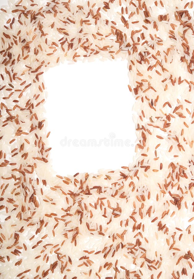 Rice frame stock image. Image of herb, beautiful, grain - 51429081