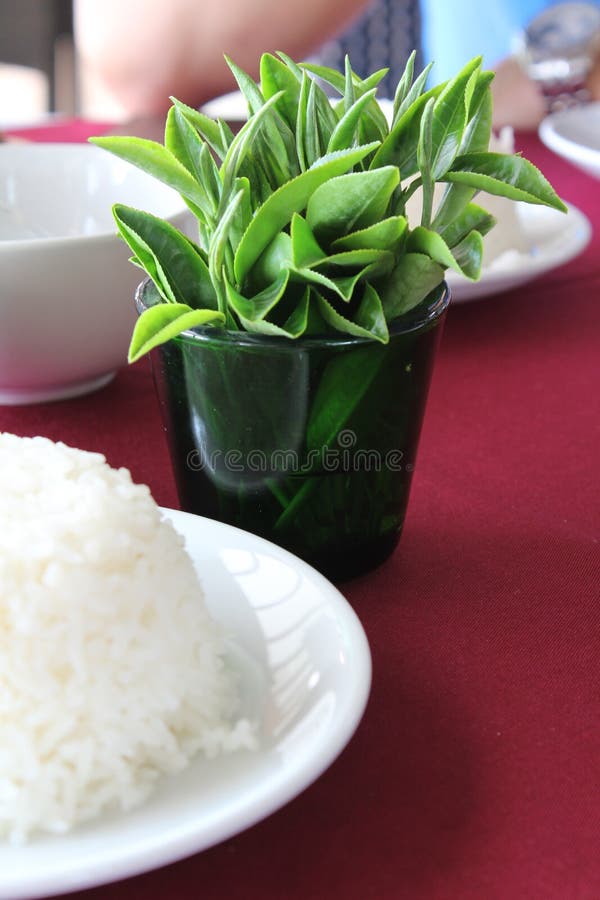 Rice with fresh tea leaves stock image. Image of color - 32154879