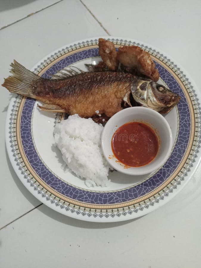 Rice with fried fish stock image. Image of friet, vegetable - 274102939