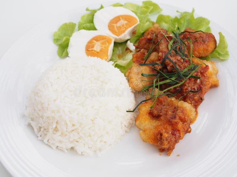 Rice and fried fish stock photo. Image of lunch, cook - 63826972
